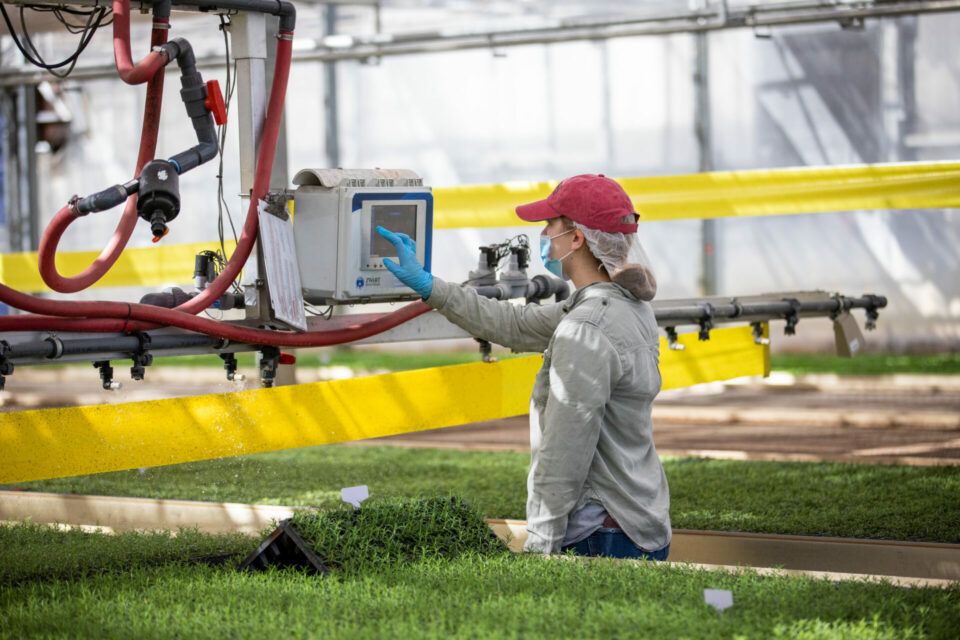 Careers - Soli Organic