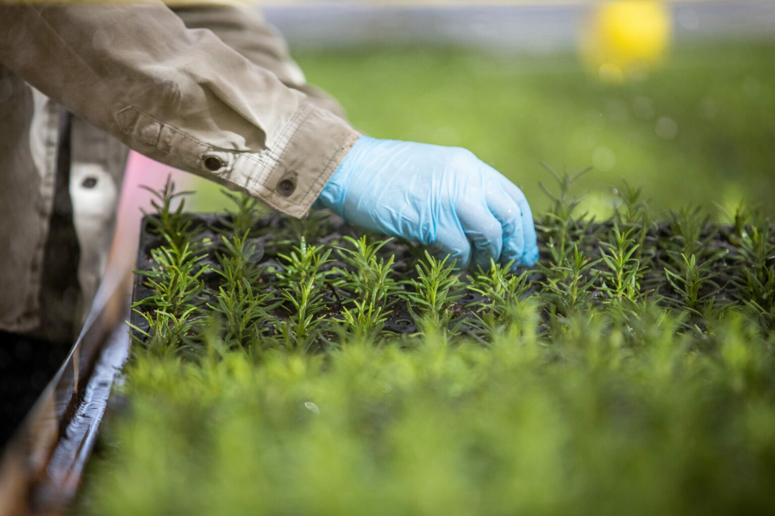 Careers - Soli Organic