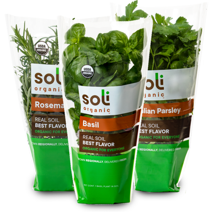 Living Herbs - Soli Organic