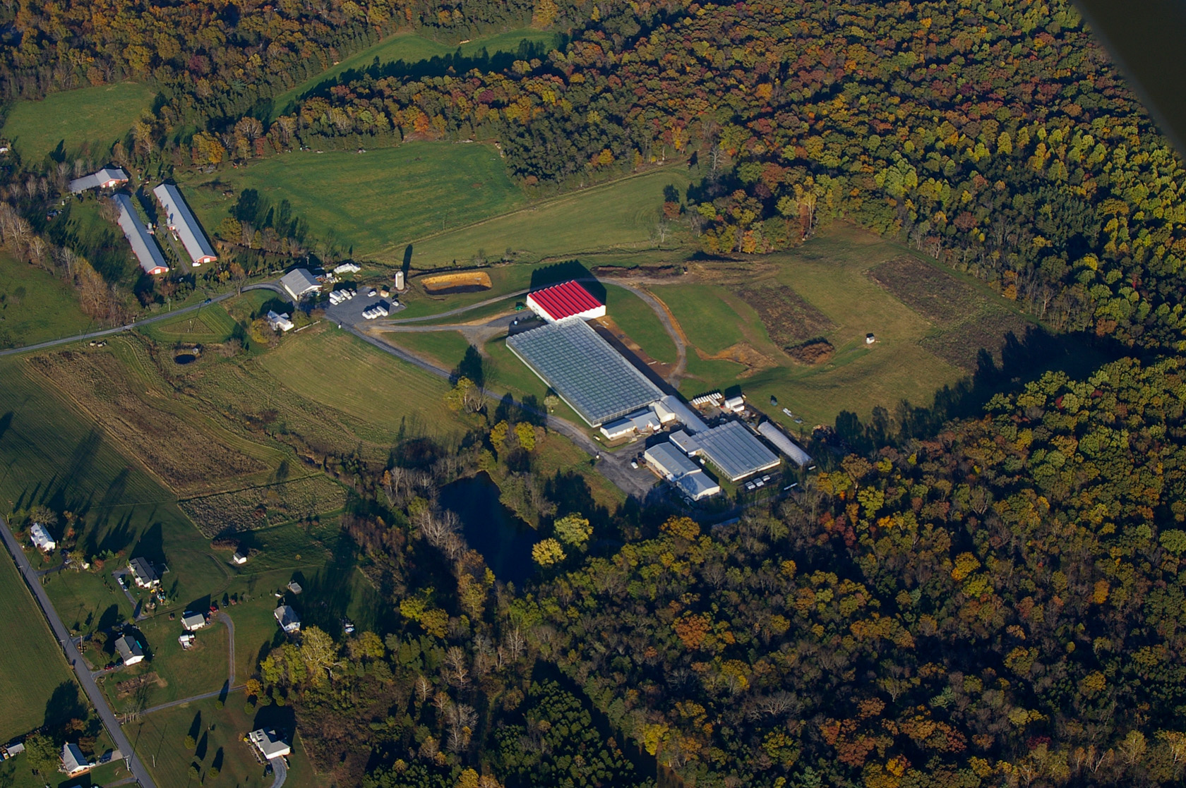 Our Story - Soli Organic