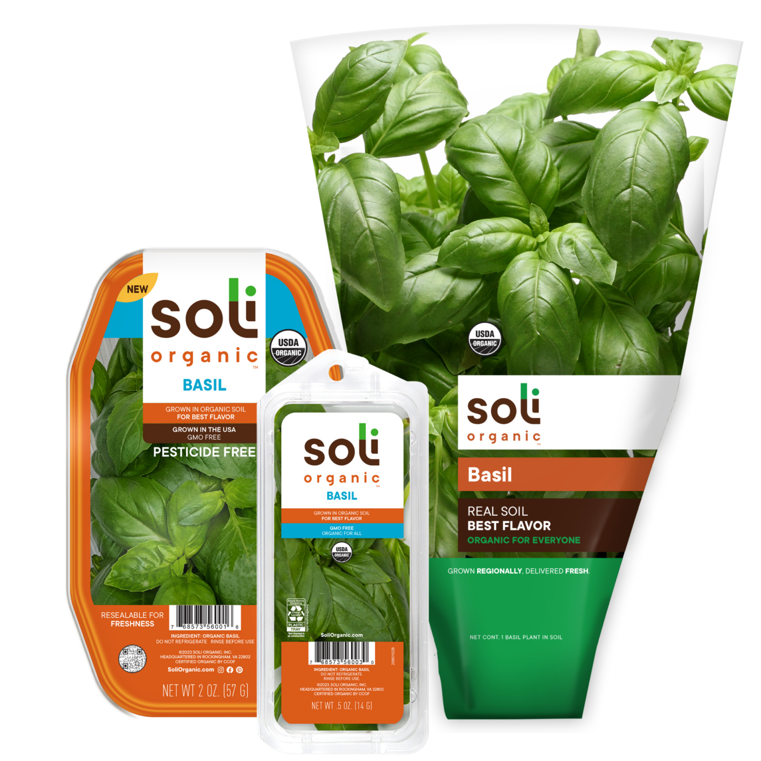 Summer Basil - Soli Organic