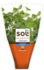 Living Herbs - Soli Organic