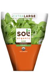 Living Herbs - Soli Organic